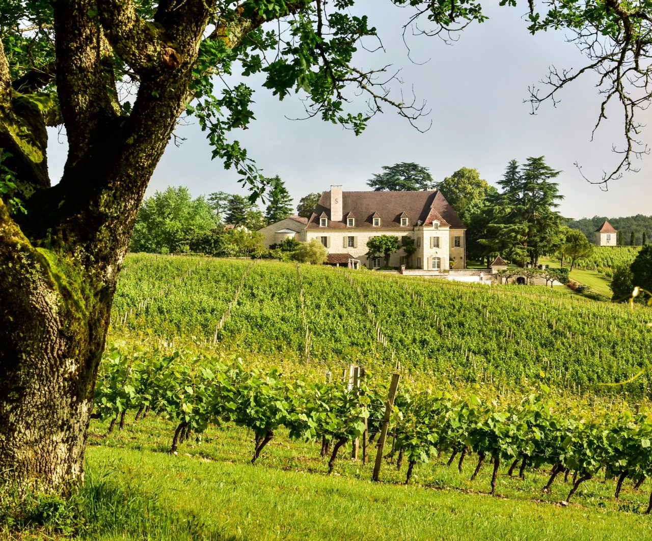 Le château – Château Thénac